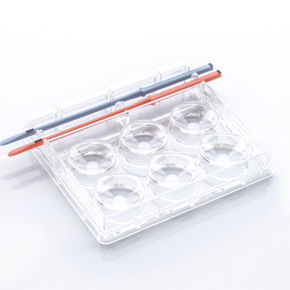 KITAZATO CORPORATION | Vitrification Media and Equipments | Oocyte Cryo ...